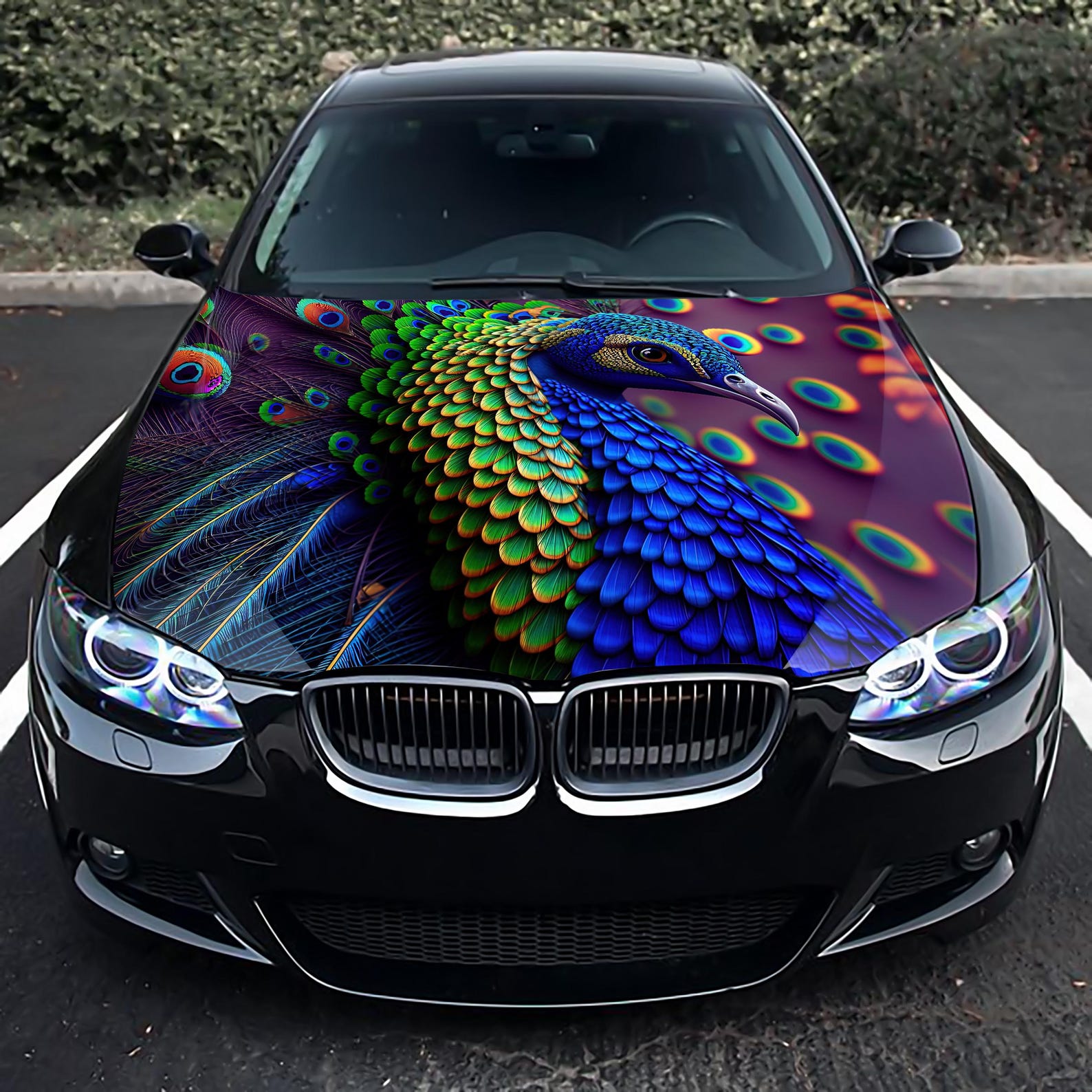 Peafowl Peacock Car Hood Wrap, Car Hood Decal, Truck Hood Wrap, Car ...