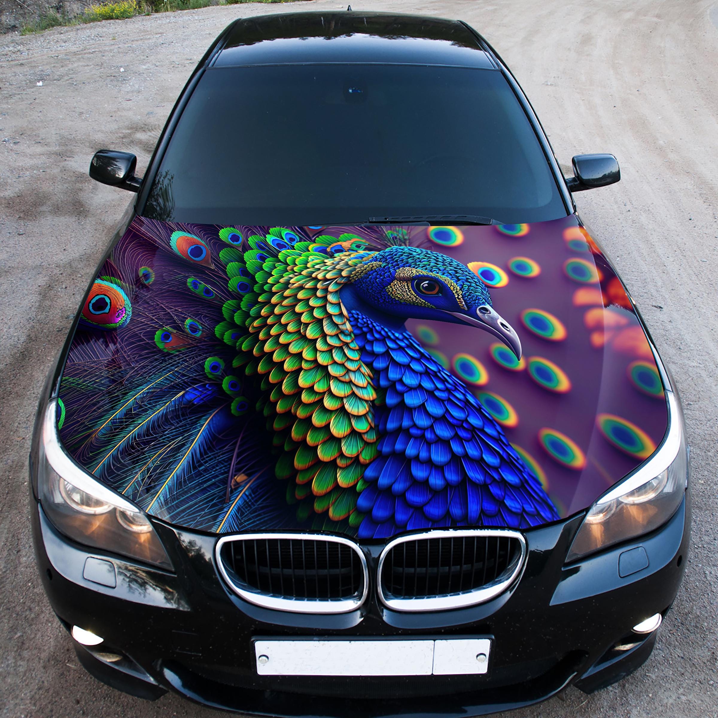 Peafowl Peacock Car Hood Wrap, Car Hood Decal, Truck Hood Wrap, Car ...