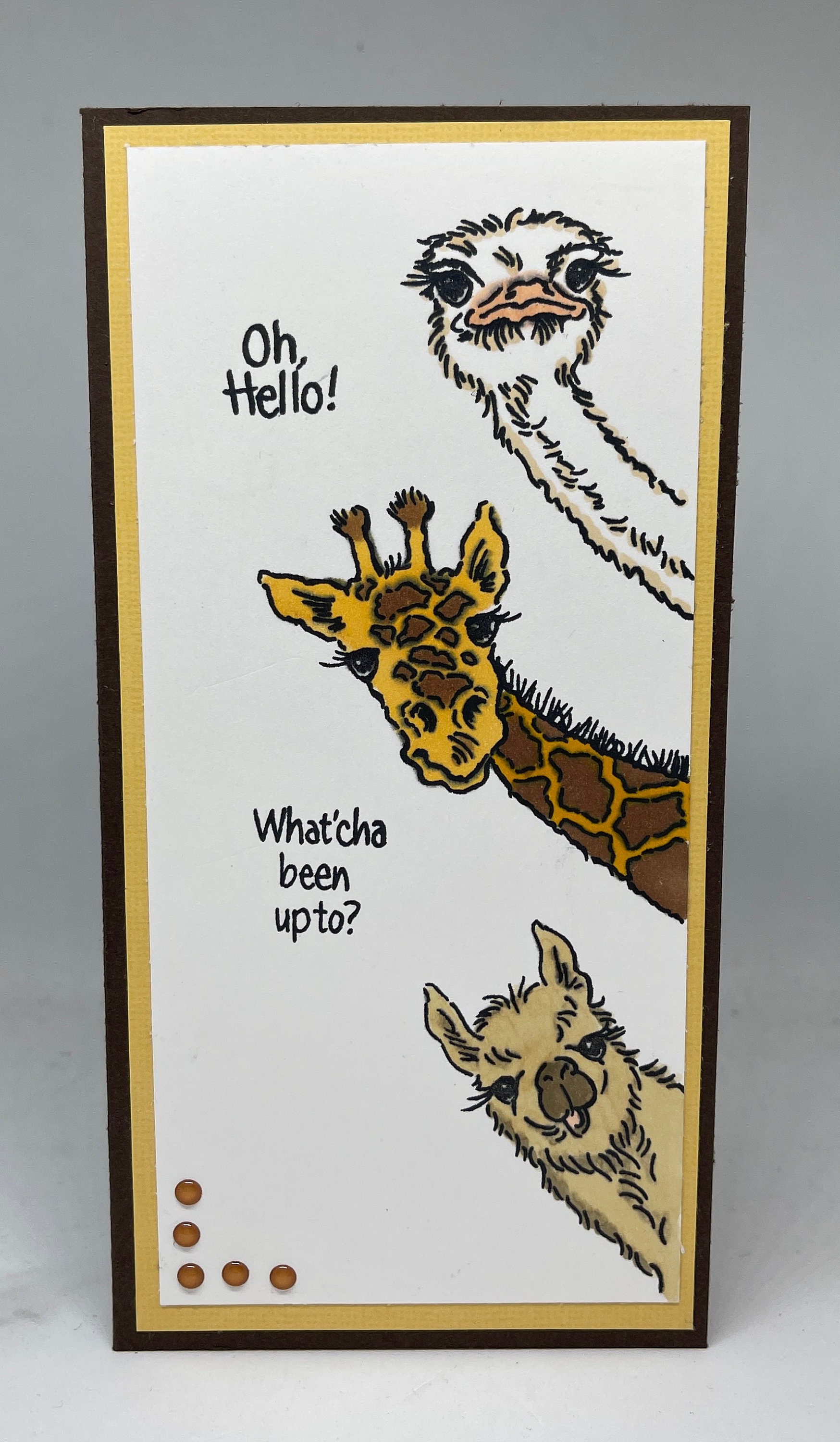 Fun Slimline Card, Friend Cards, Animal Card, Just Because Card, Fun ...