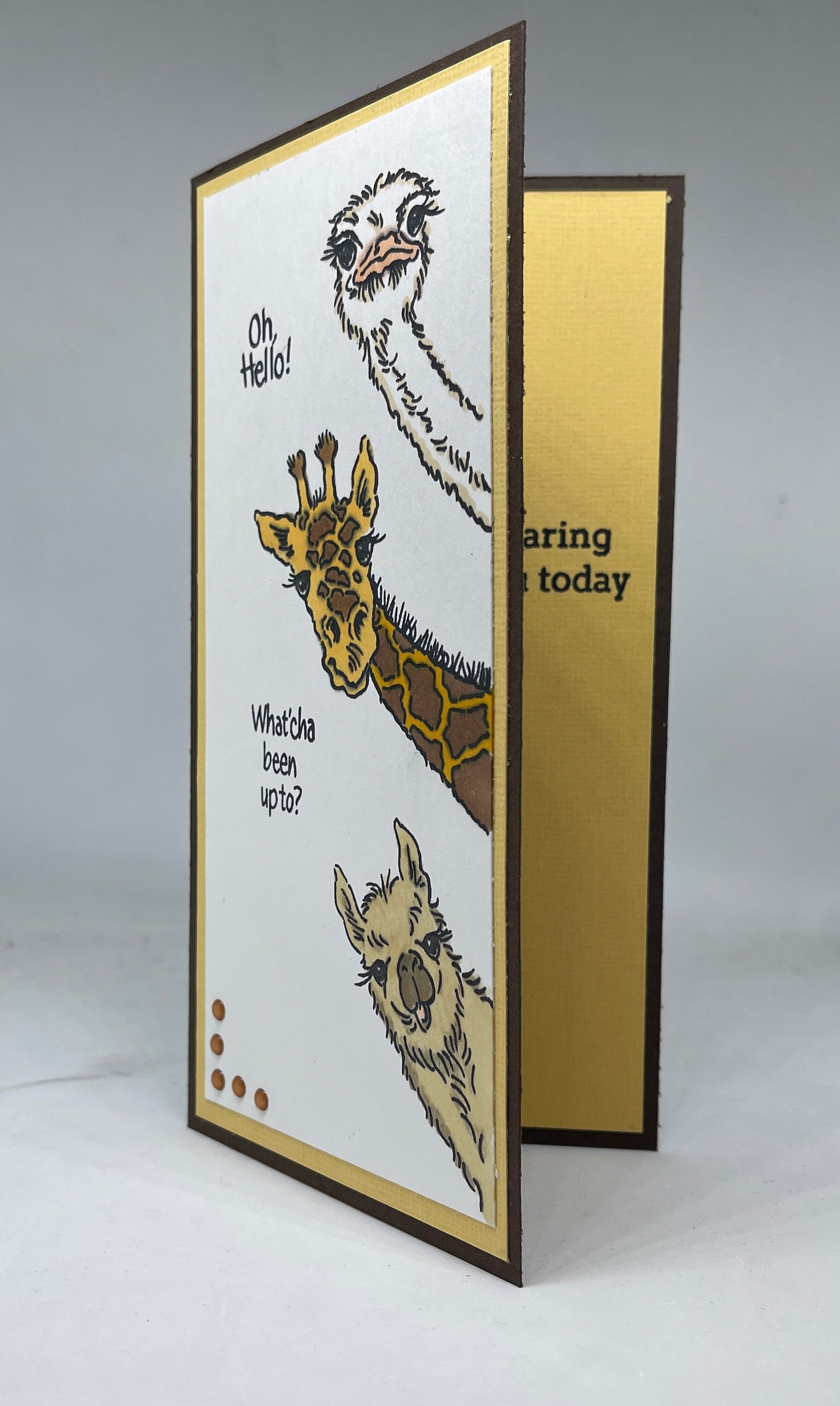 Fun Slimline Card, Friend Cards, Animal Card, Just Because Card, Fun ...