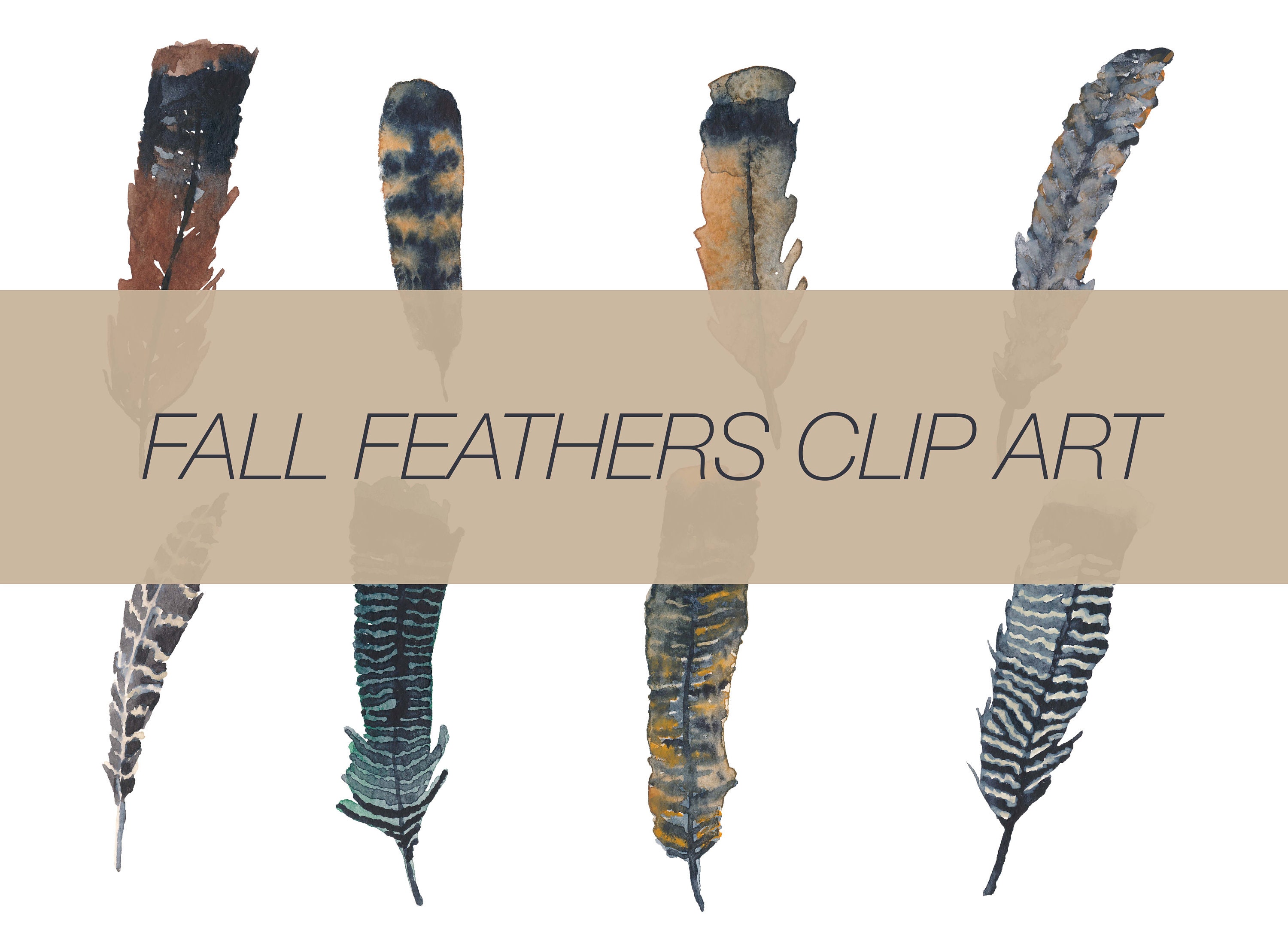 Turkey Feathers Clip Art