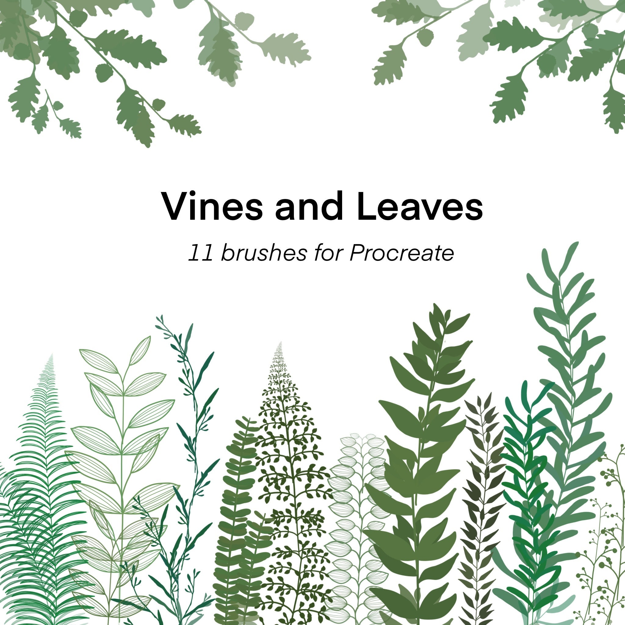 11 Procreate Vines and Leaves Brushes - Etsy