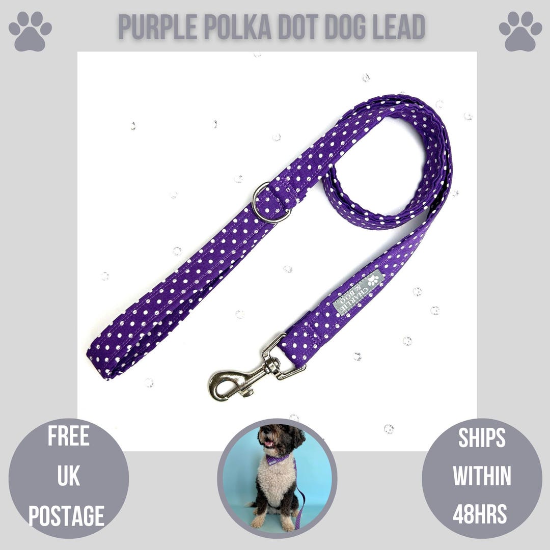 Purple Dog Lead Purple Polka Dot Dog Lead Dog Lead Dog Leash Boy Dog ...