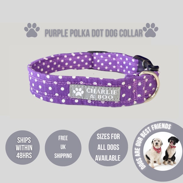 Purple Dog Collar - Etsy
