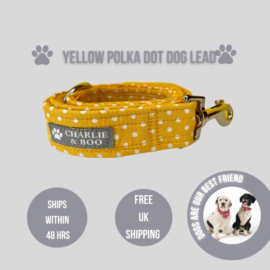 Yellow Polka Dot Dog Lead, Yellow Dog Lead, Yellow Spotty Dog Lead ...