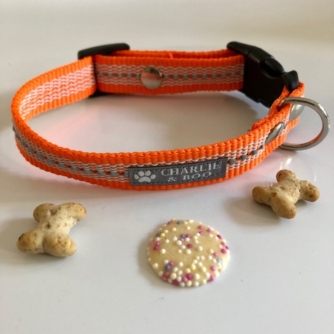 Orange Reflective Dog Collar Reflective Dog Collar Orange - Etsy