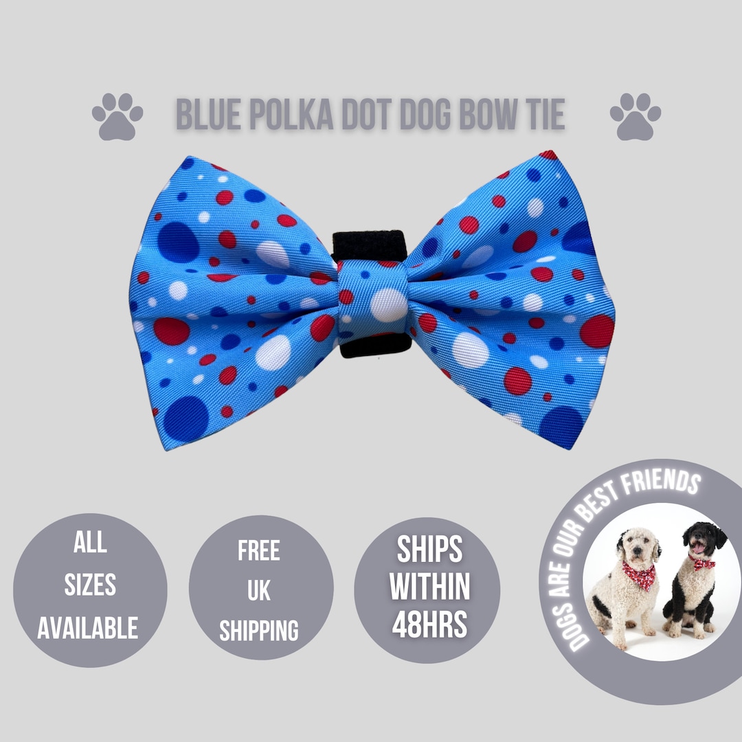 Blue Polka Dot Dog Bow, Polka Dot Dog Bow Tie, Spotty Dog Collar Bow ...
