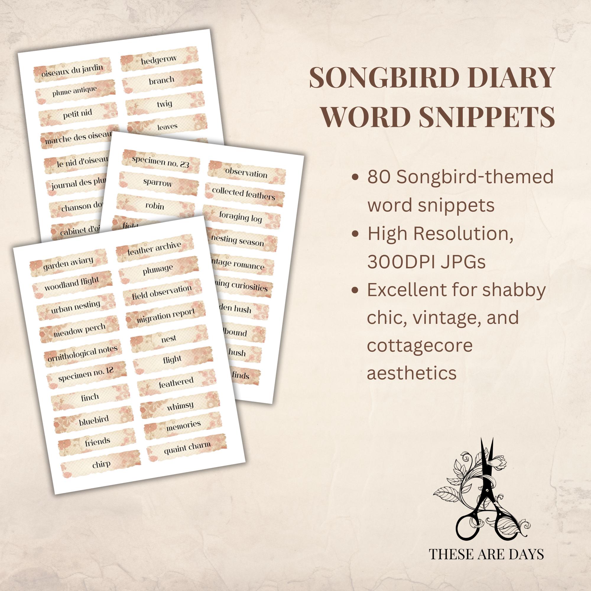 Songbird Diary Word Snippets: Printable Ephemera for Junk Journals ...