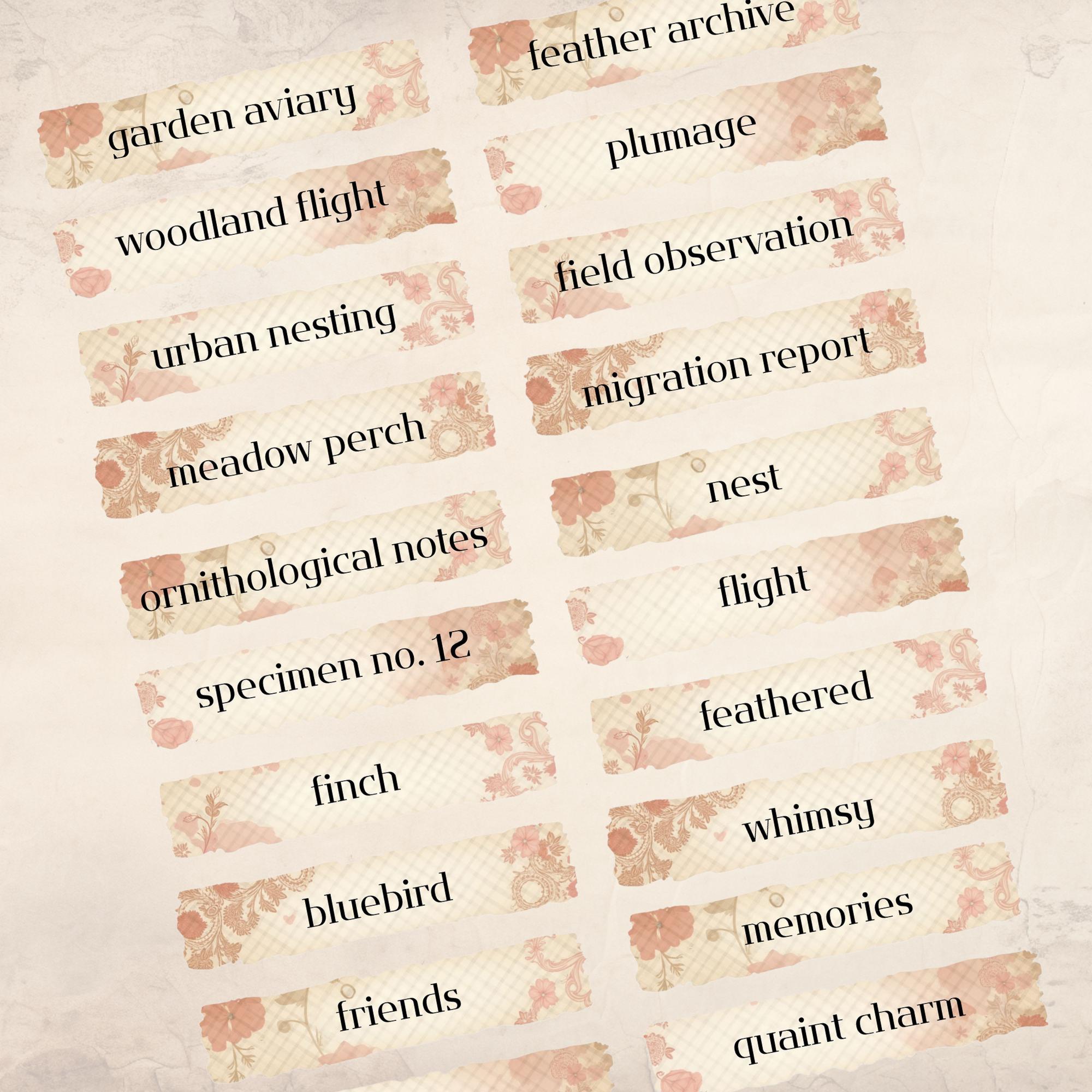 Songbird Diary Word Snippets: Printable Ephemera for Junk Journals ...