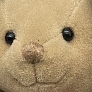 Commonwealth Brown Bunny Rabbit Plush Stuffed Animal 10 Green Vest Bow Floppy - Etsy