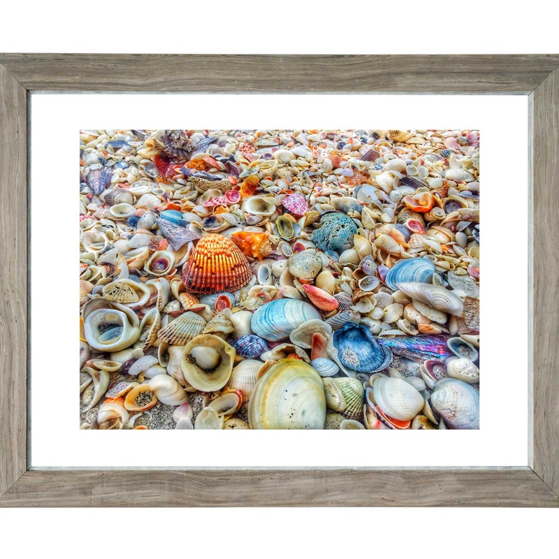 Sanibel Island Shell Art - Etsy