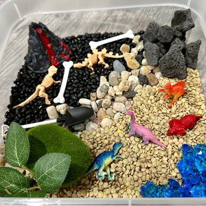 Dinosaur Sensory Bin Dinosaur Sensory Kit Dino Sensory Bin Preschool ...