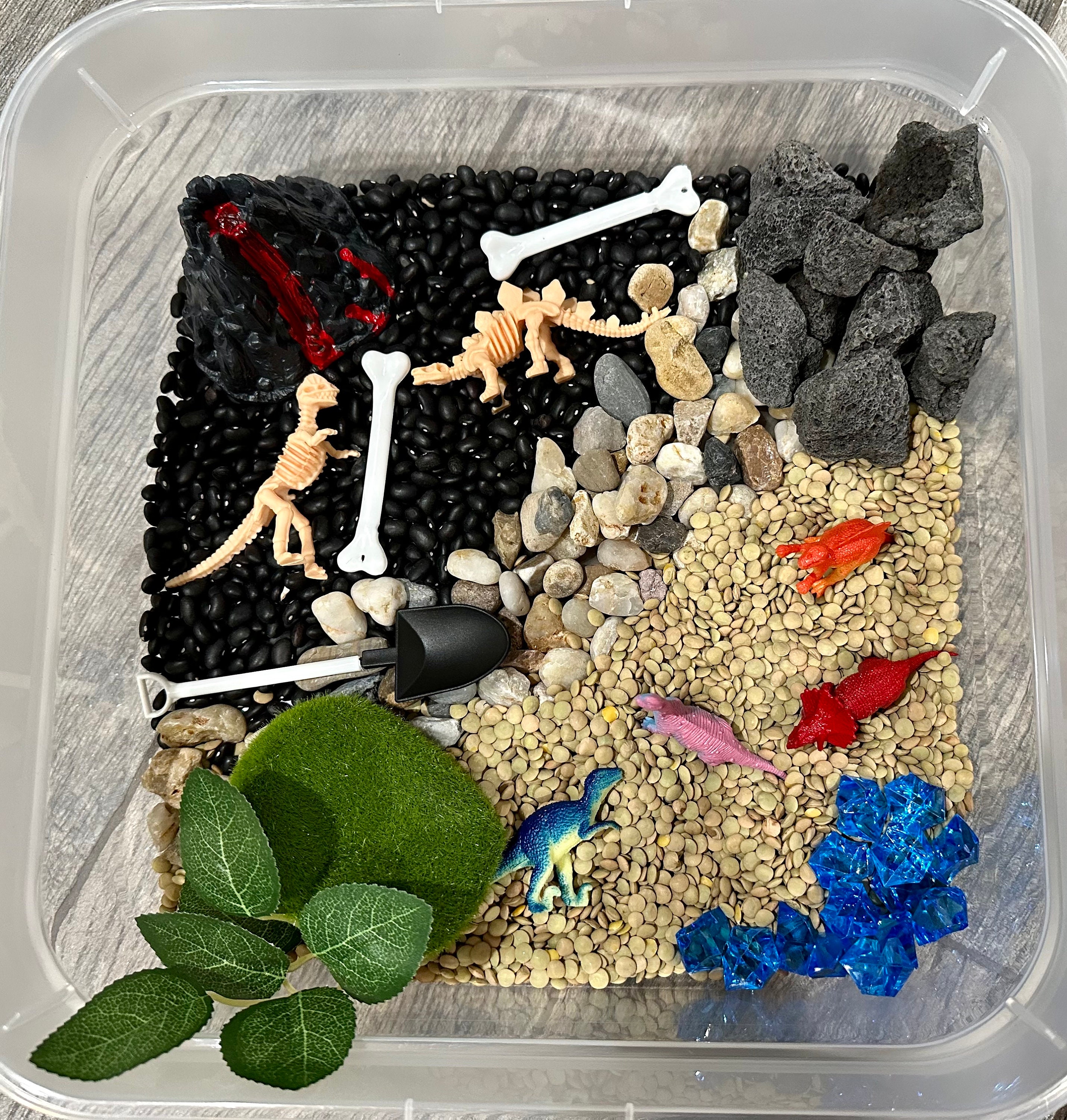 Dinosaur Sensory Bin Dinosaur Sensory Kit Dino Sensory Bin Preschool ...