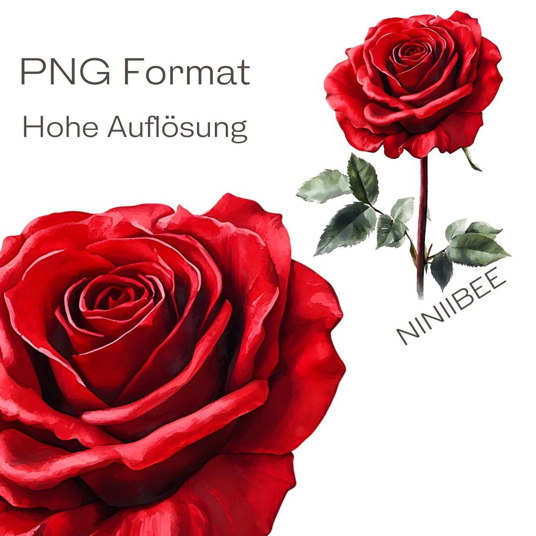 12 Roses, Clipart, Printable Clipart, High-quality Pngs, Digital ...