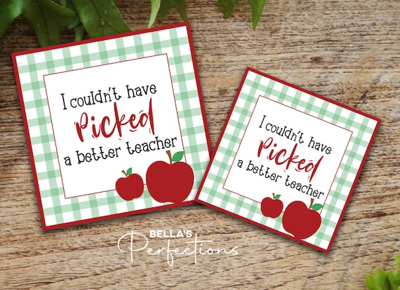 Teacher Appreciation Tags I Couldn't Have Picked a - Etsy