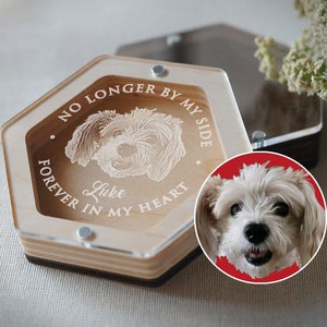 Dog Paw Print Fur Keepsake Box, Cat Hair Memorial Dog Death Gifts, Pet ...