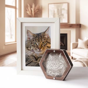 Pet Fur Keepsake With Photo Engraving, Pet Hair Memorial Box, Dog Cat ...
