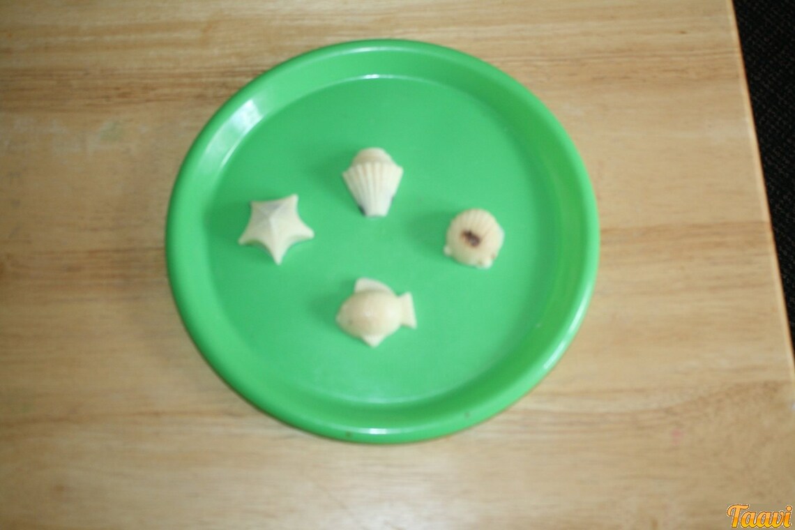 Taavi Sea Shell Silicone Mold candy Chocolate Ice Cubes - Etsy
