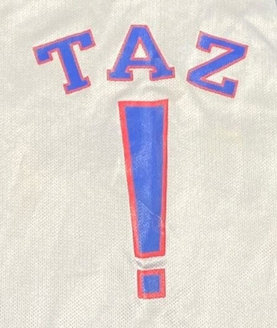 Vintage Space Jam Looney Tunes Taz Basketball Jersey … - Gem