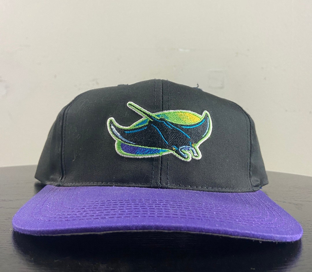 Vintage Tampa Bay Devil Rays Snapback Hat Signature OSFA MLB Baseball ...