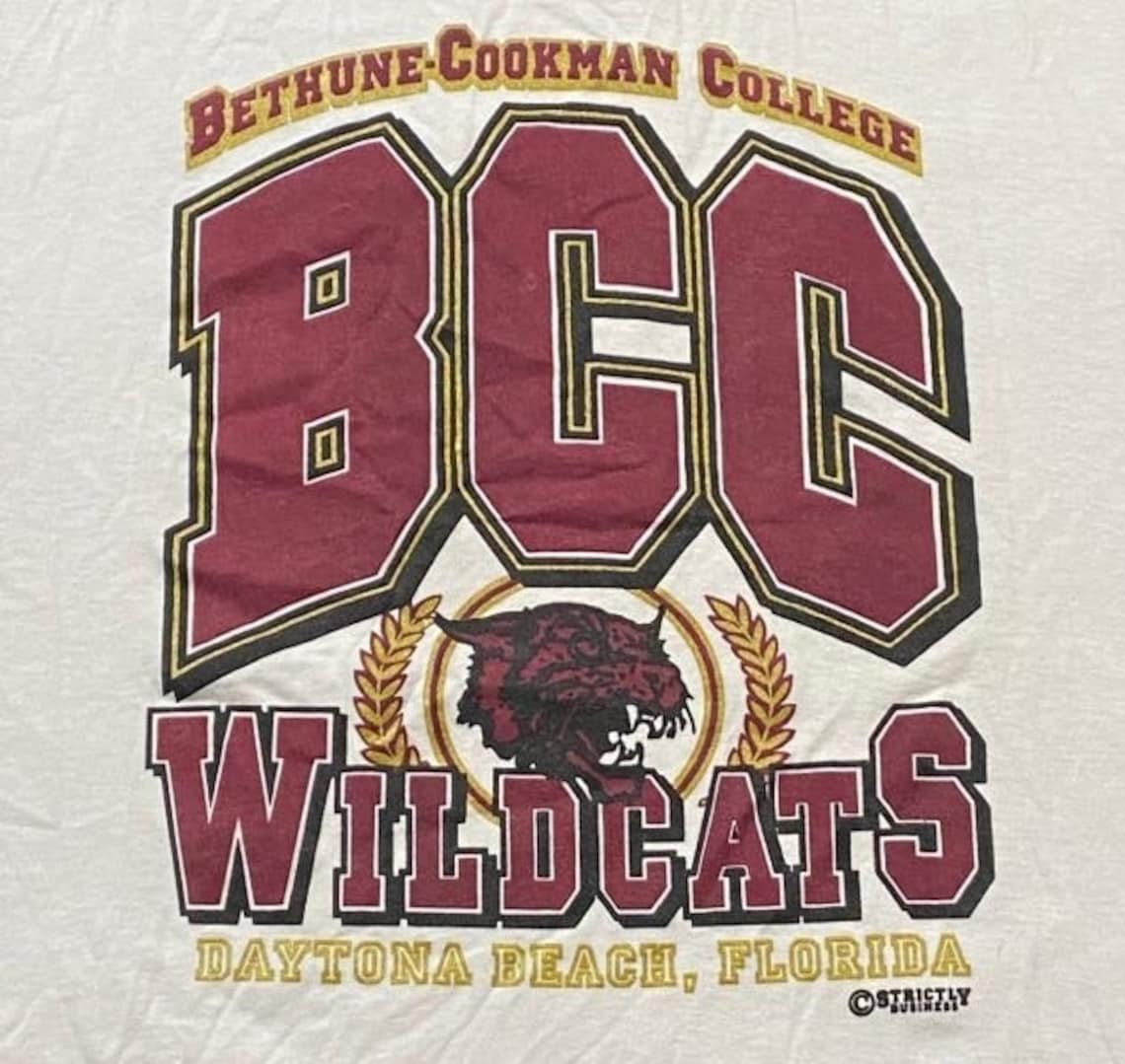 Vintage Bethune Cookman College T Shirt Tee Hanes Size Large L Daytona ...