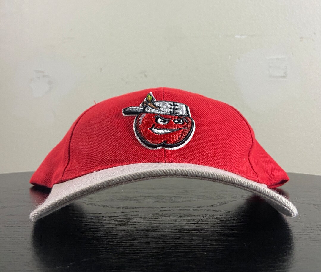 Vintage Fort Wayne Tincaps Snapback Hat OSFA Minor League Baseball MLB ...