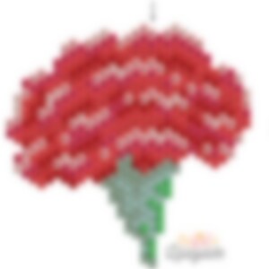 Diagram Carnation PDF - Etsy