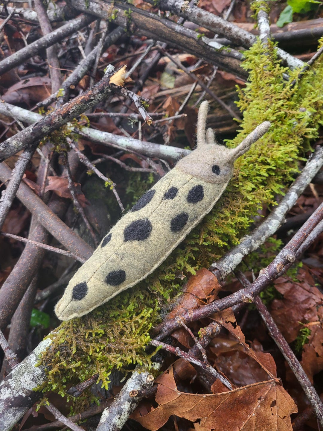 Wool Felt Slug - Etsy
