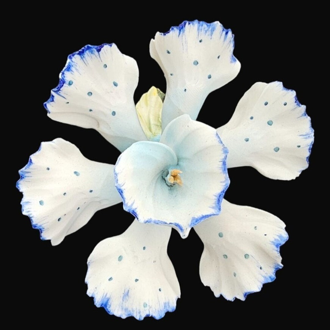 Vtg Capodimonte White / Blue Orchid Flower Italy Marked N W Crown L ...