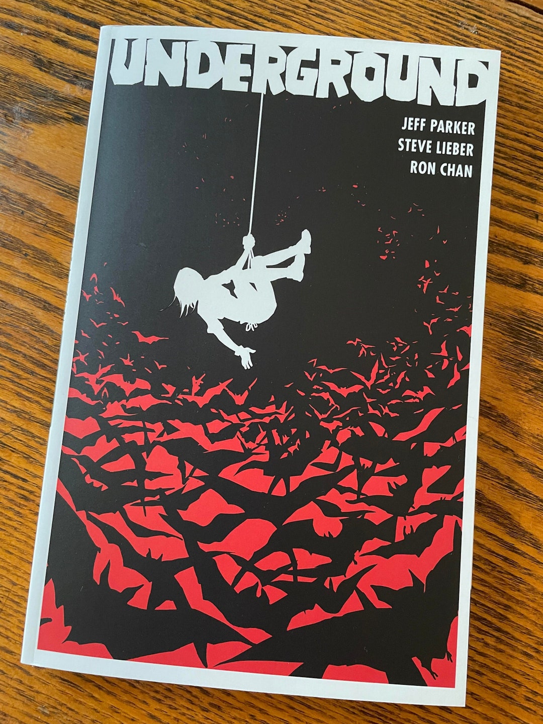 Underground Graphic Novel. Brand New Oni Press Edition!. Free USA ...