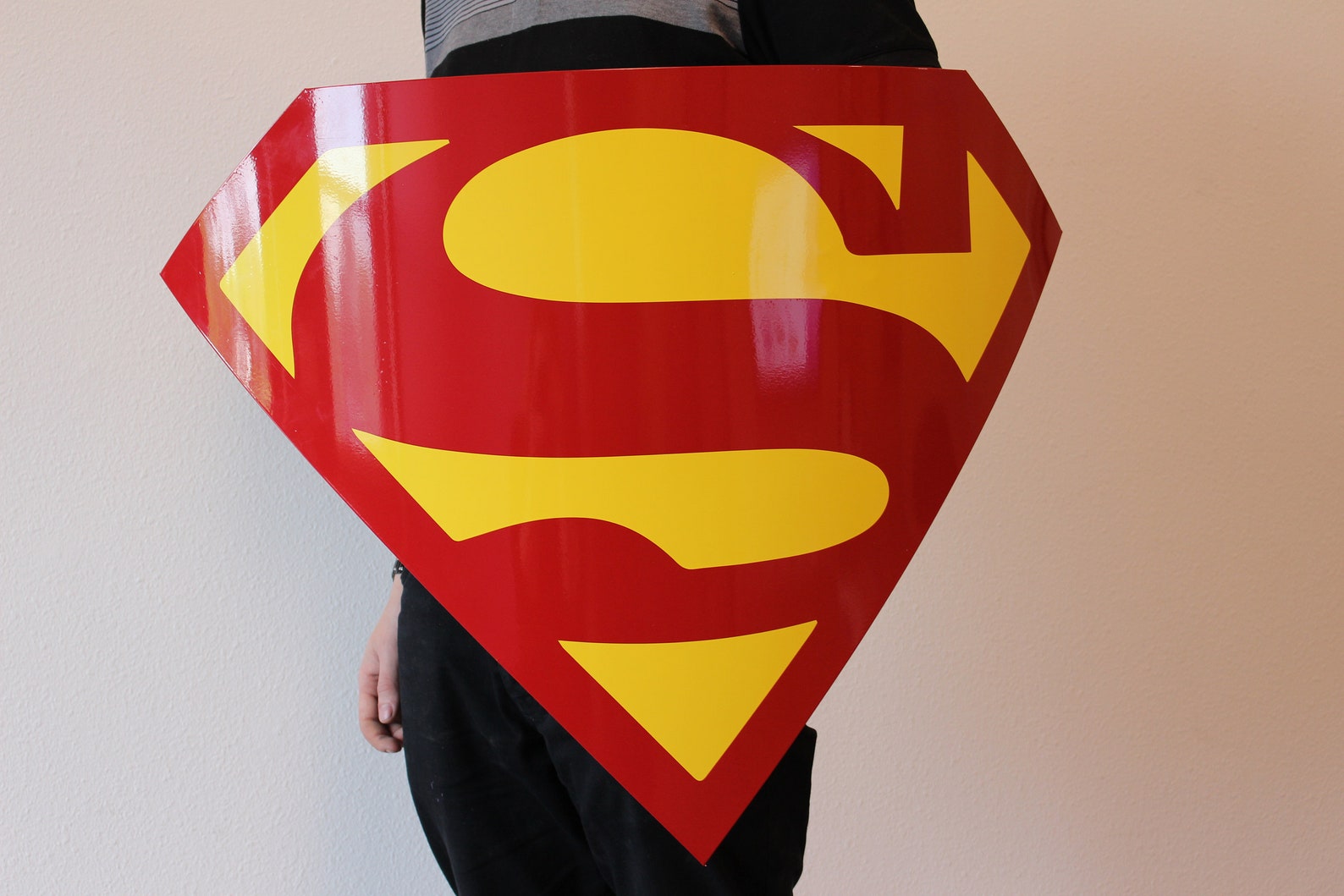 Design Your Own Shield Custom Metal Shields - Etsy