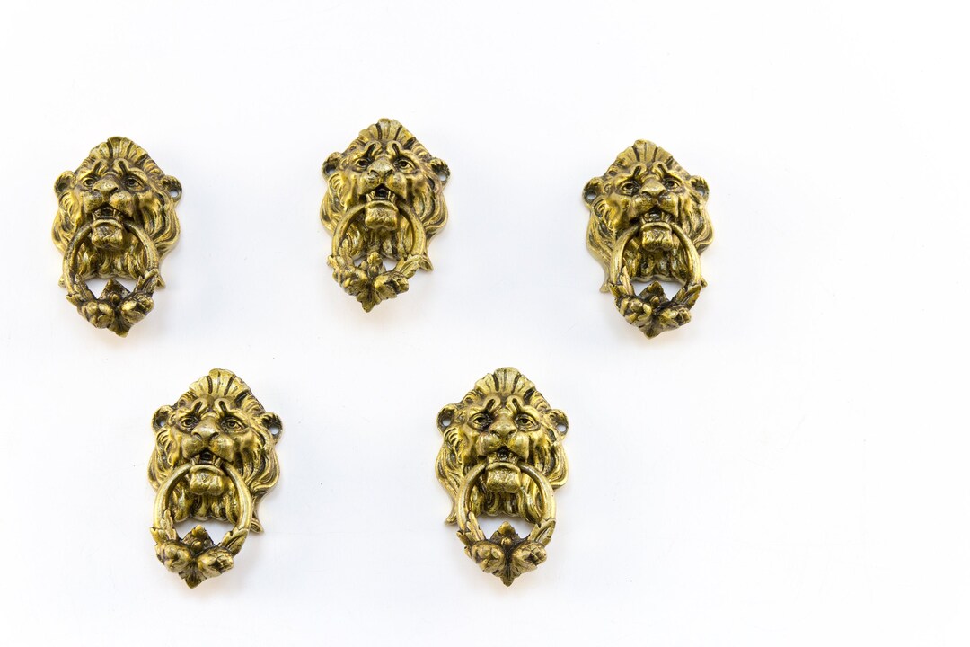 Lion Head Ring Pull Handles, Set of 5 - Etsy