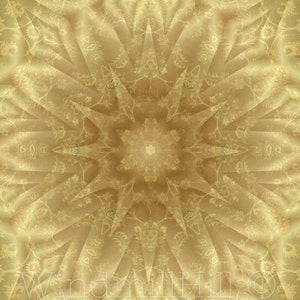 Textured Mandala Digital Paper Scrapbook Paper, Commercial Use, 300dpi ...