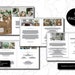 4 Client Brochures SAMPLE Bundle Wedding Planner Client - Etsy