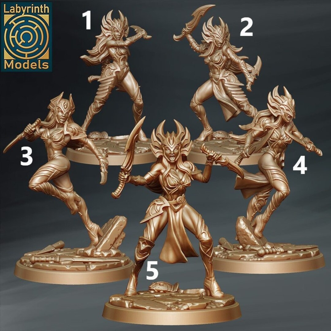 Dark Elf Gladiatrixes by Labyrinth Models - Etsy