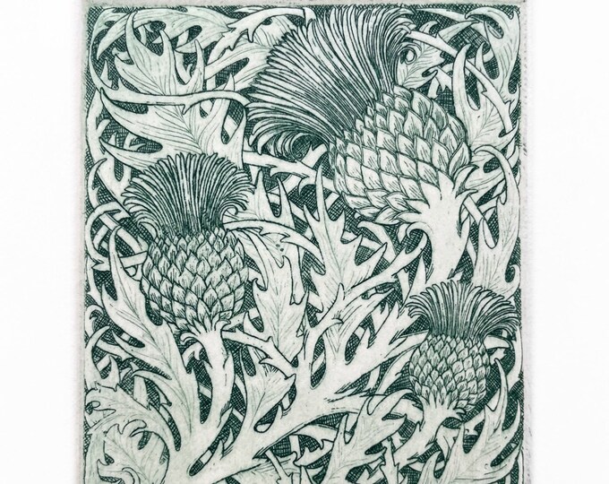 Scottish Thistle Hand-pulled Intaglio Etching Print From Copperplate ...