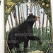 Black Bear Card With White Envelope Digitally Colored and Printed ...