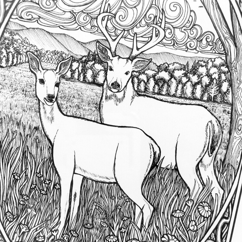 Pen and Ink Deer Art - Etsy