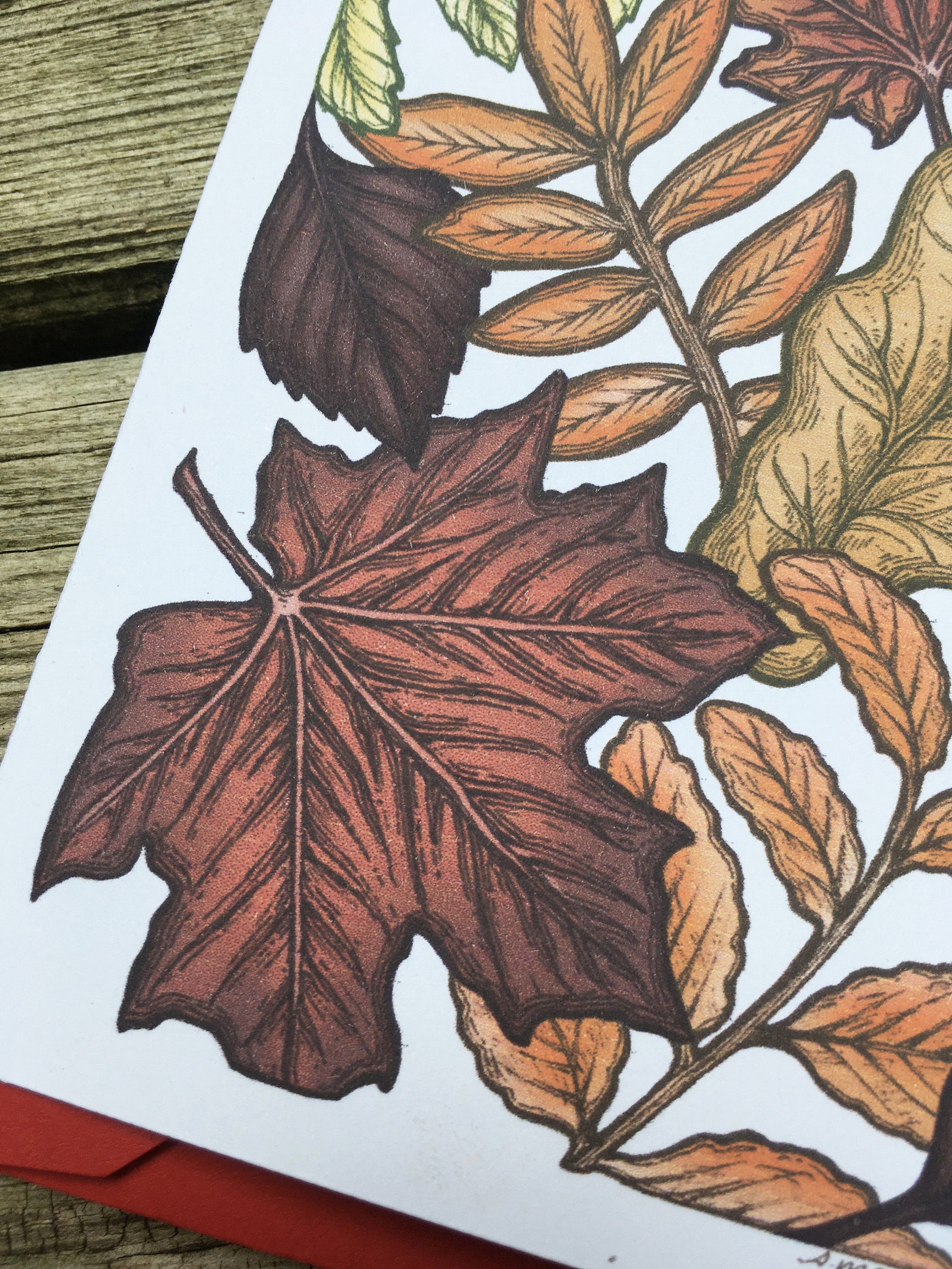 Fall Leaves Greeting Card With Red Envelope : Colorful Leaves - Etsy