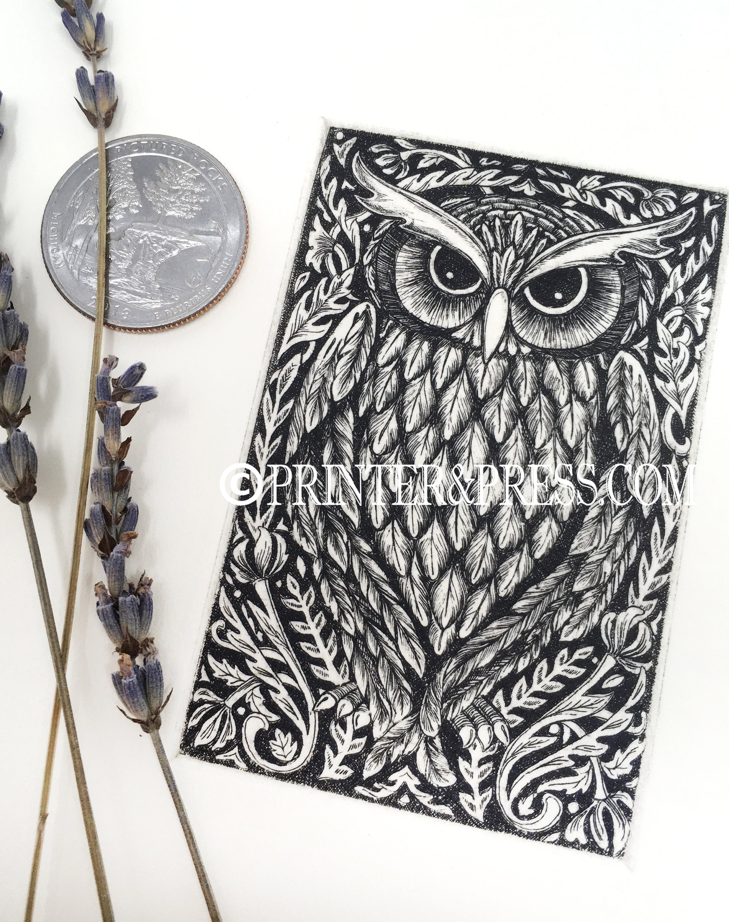 Medieval Owl Print Tiny Hand-Pulled Intaglio Etching Print | Etsy