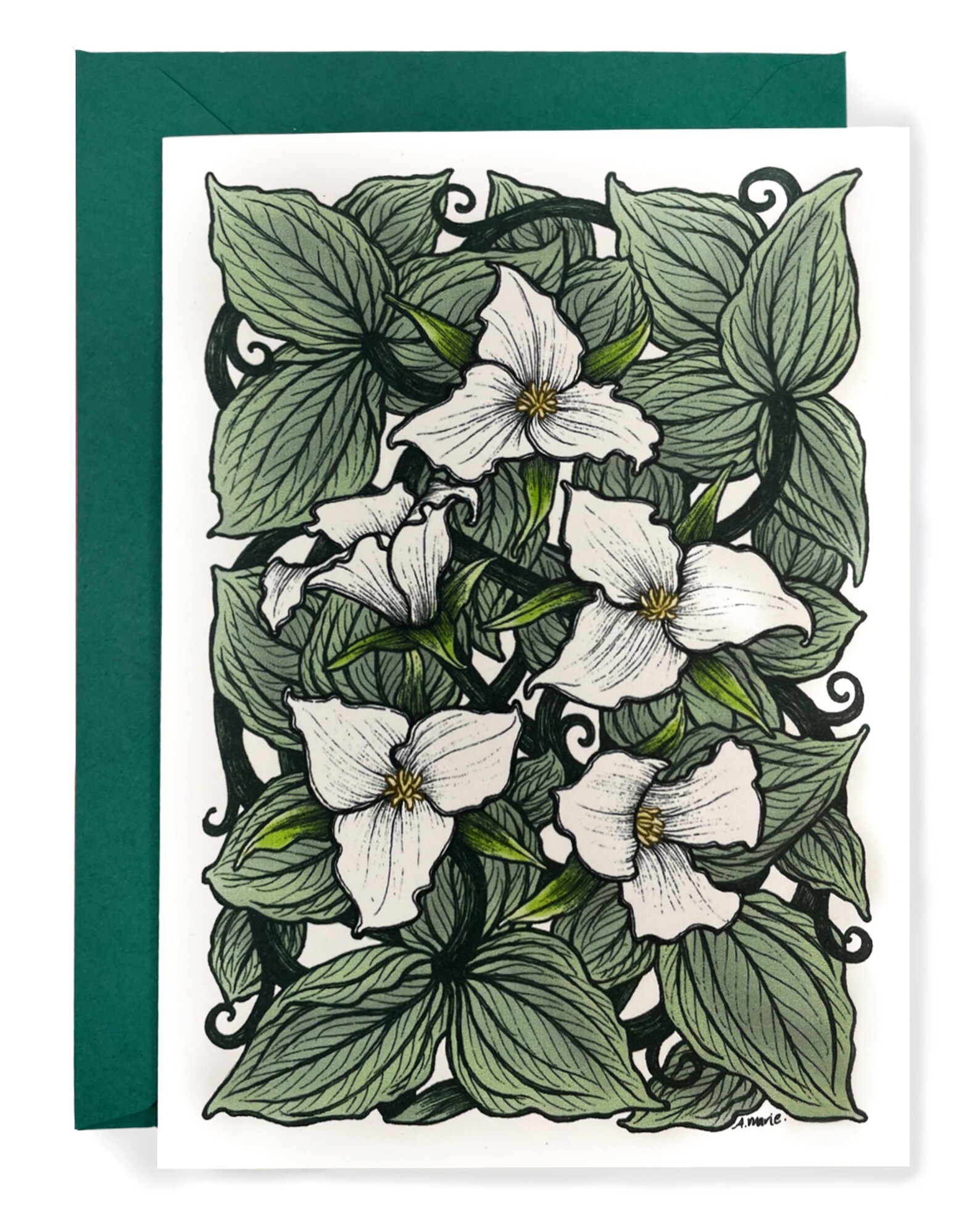 Trillium Card With Green Envelope - Digitally Colored and Printed ...