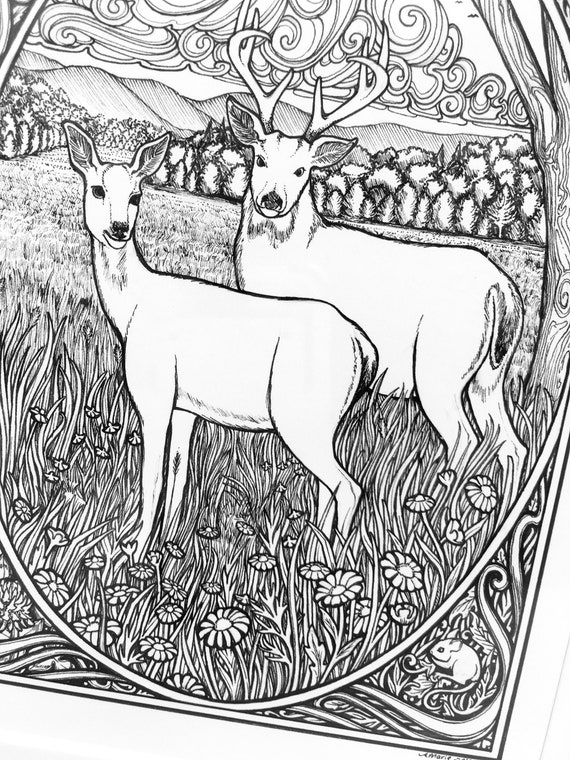Framed Original Pen and Ink Drawing of Deer in a Meadow: Black | Etsy