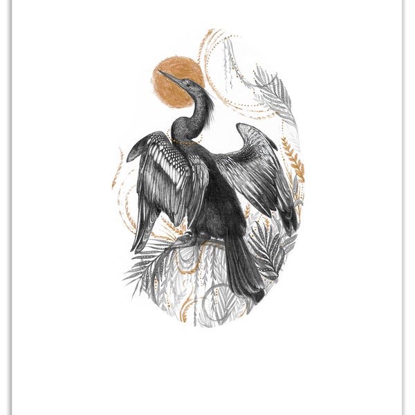 Anhinga - Etsy