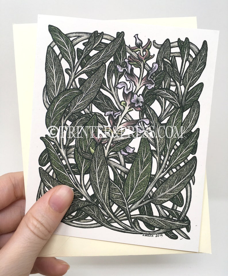 Sage Greeting Card With Ivory Envelope : Herb Card - Botanical ...