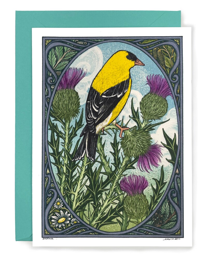 Bird Card Variety Pack 4 Digitally Printed Cards W/ Fun - Etsy