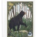 Black Bear Card With White Envelope Digitally Colored and Printed ...