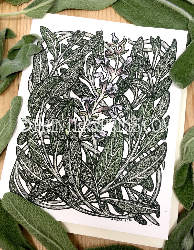 Sage Greeting Card With Ivory Envelope : Herb Card - Botanical ...