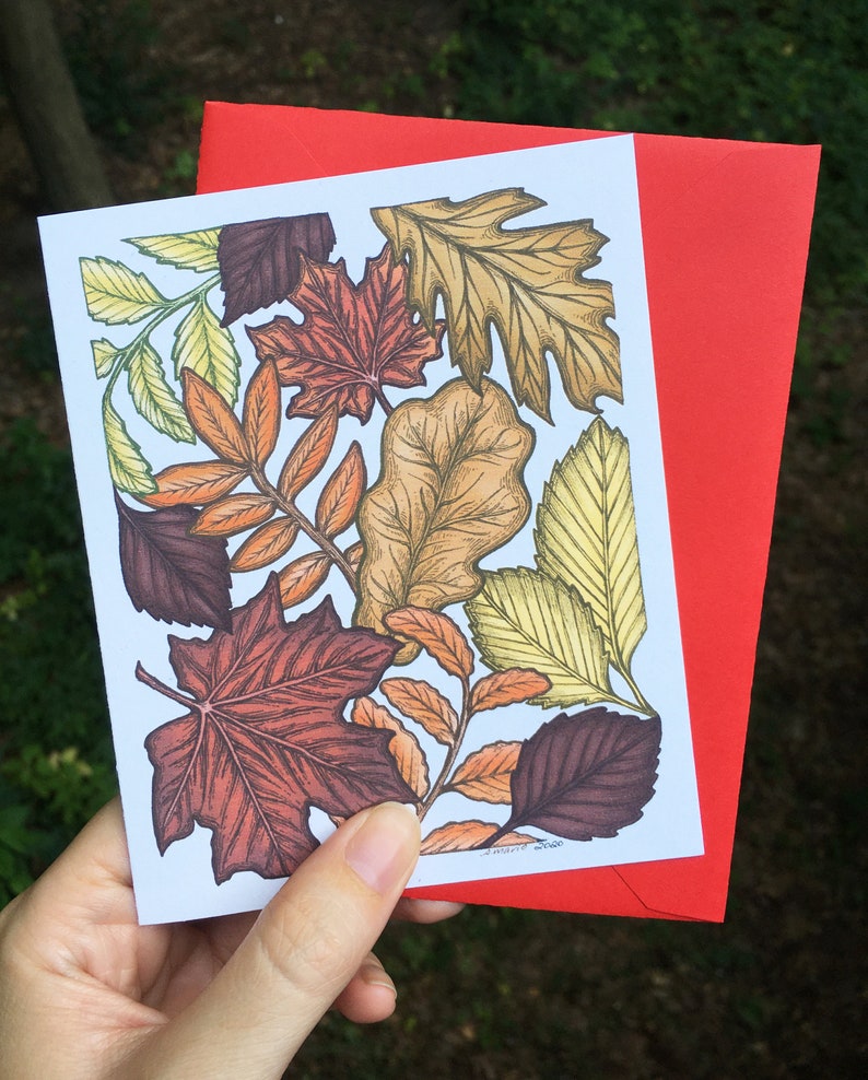 Fall Leaves Greeting Card With Red Envelope : Colorful Leaves - Etsy