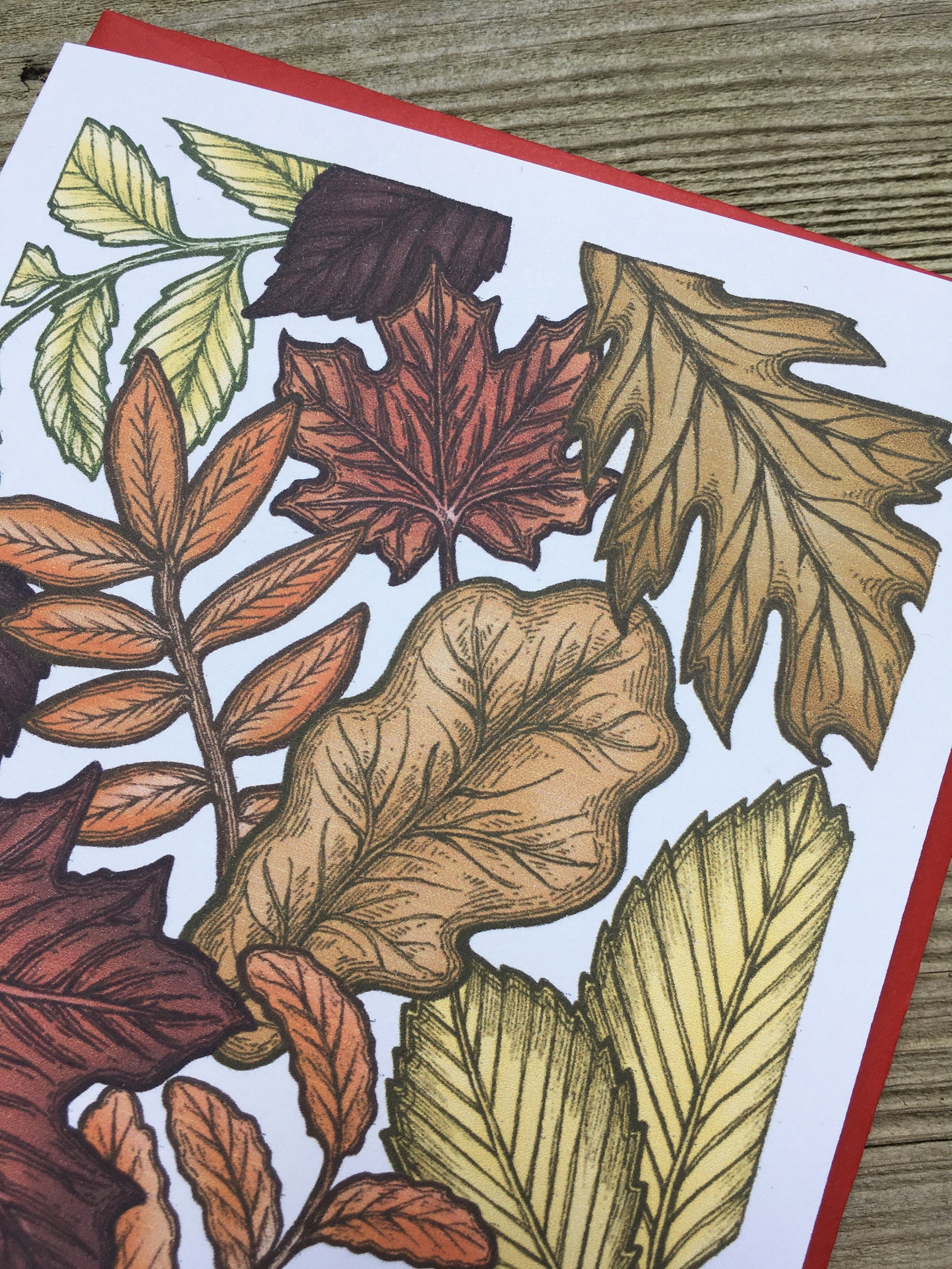 Fall Leaves Greeting Card With Red Envelope : Colorful Leaves - Etsy