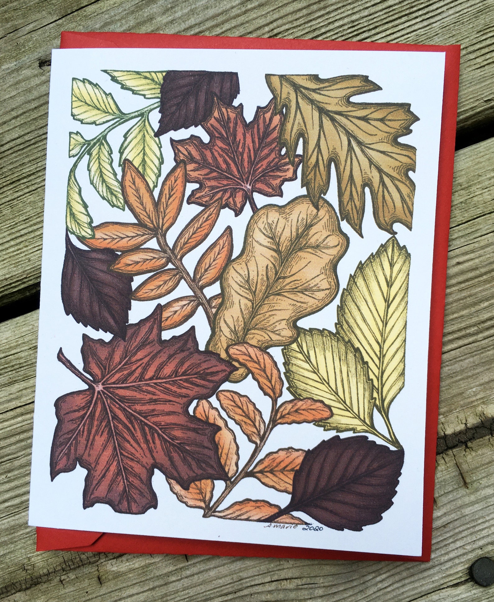Fall Leaves Greeting Card With Red Envelope : Colorful Leaves - Etsy